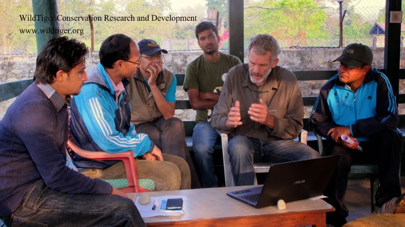 Search for the Mountain Tiger: LEOPARD REWILDING PROGRAM - The harsh ...