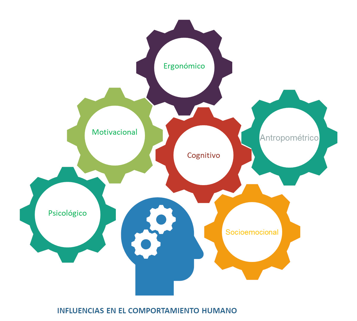 FFHH | Influencias en el comportamiento humano – Flap152 | By Roberto Gómez