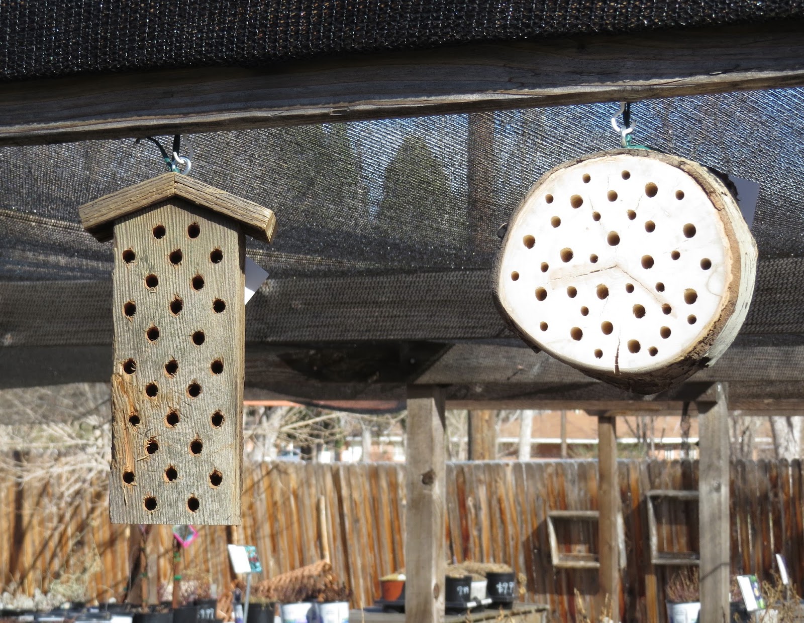 Bug Eric: Beehives and Detergent Pods