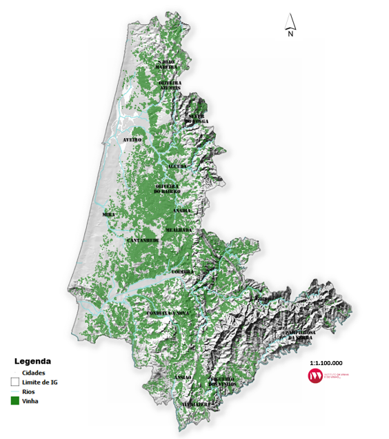 Portugal Centre-Ouest: La région de Bairrada