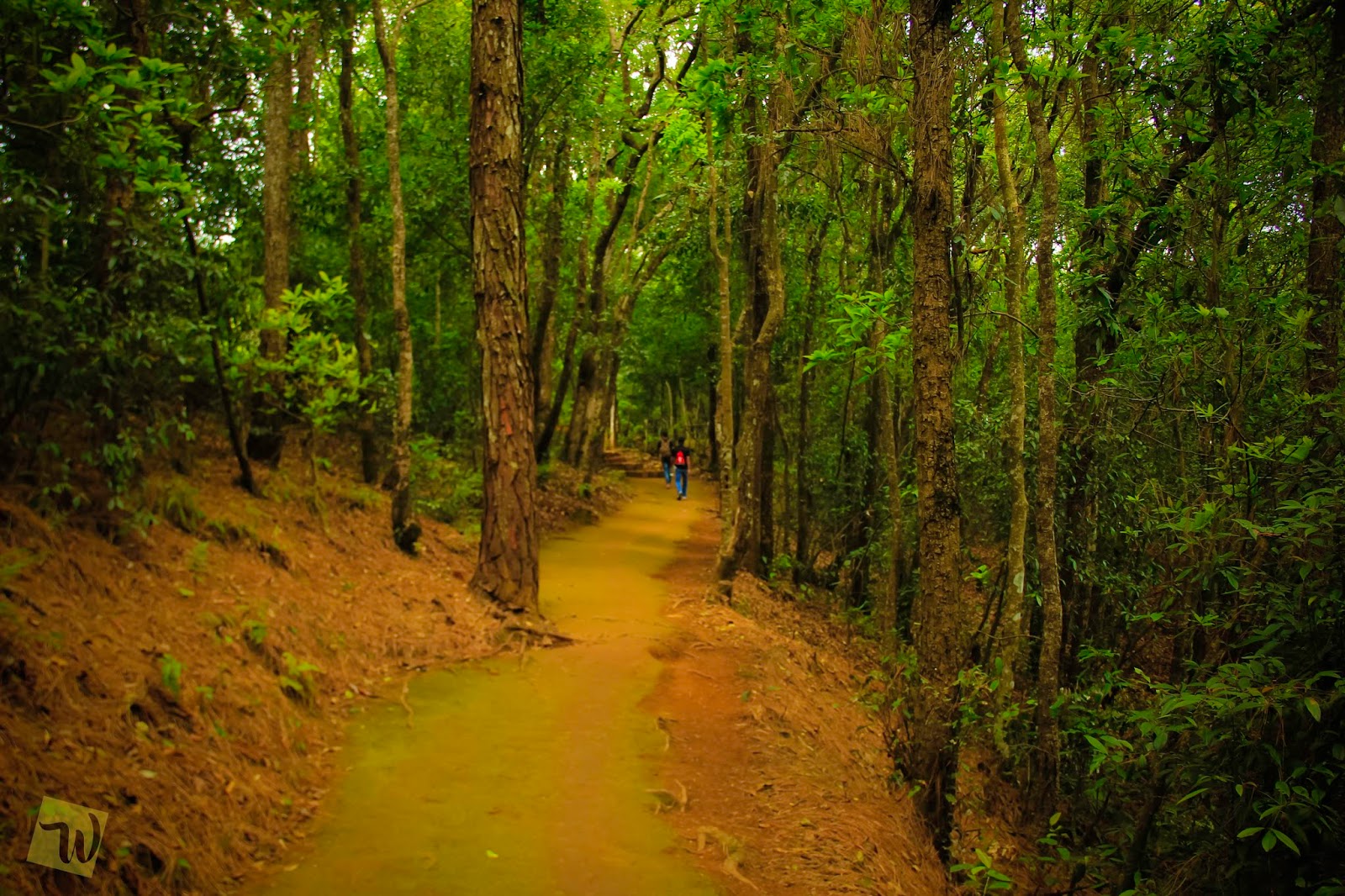 Hiking to Jamacho - Wondervibes