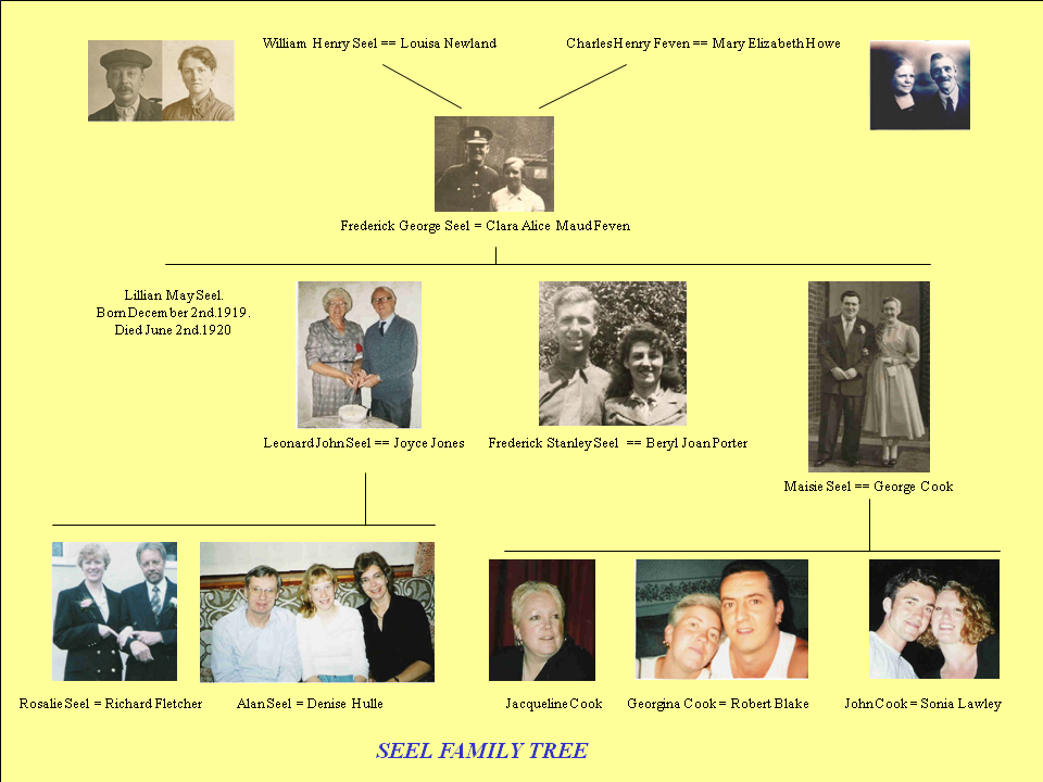 Wading Through Treacle: Seel and Youell family information page