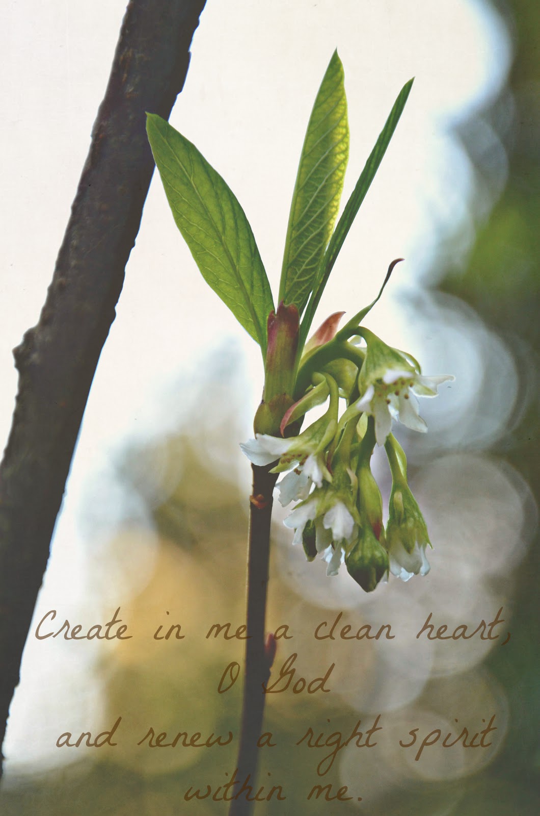 Just Following Jesus In My Real Life Psalm 51 10 