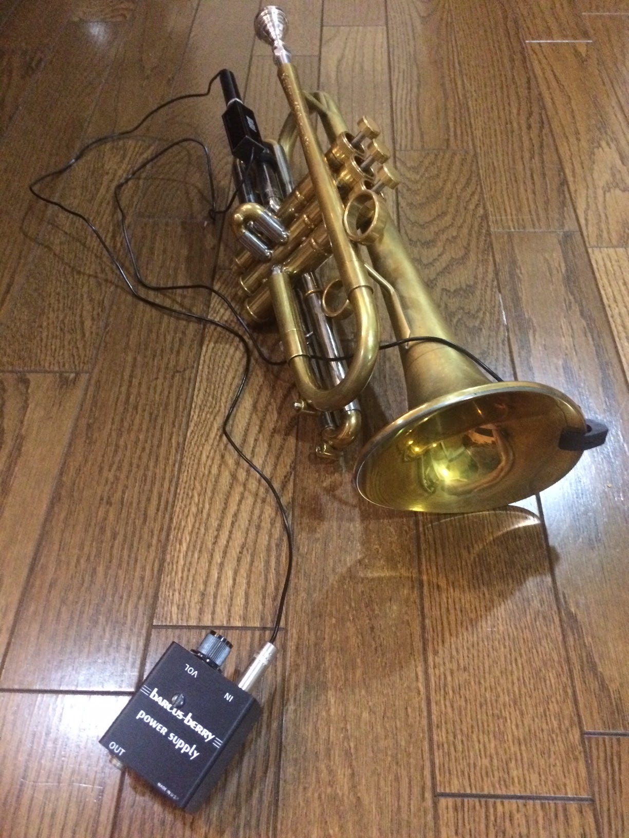 brass amplifier: バーカスベリーの憂鬱