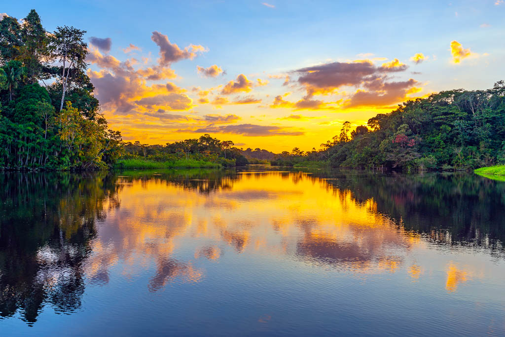 Yasuni National Park,Ecuador