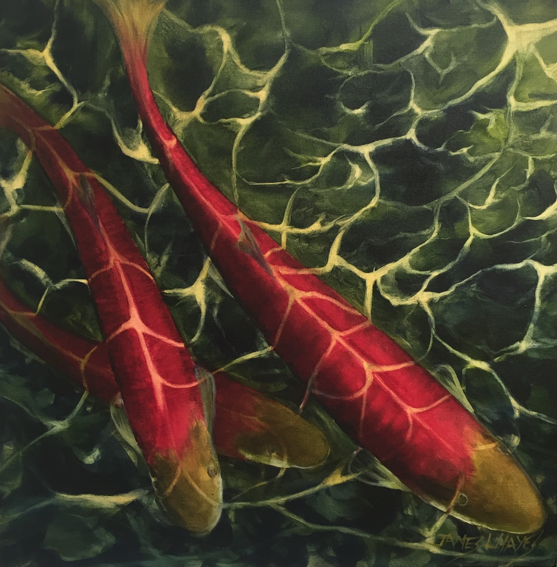 ‘James Hayes Fine Art’: Natural Order