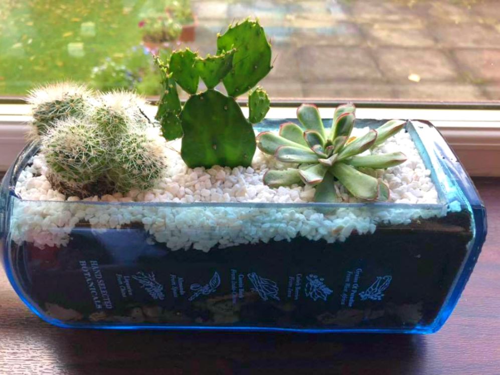 Rosie's Cottage: Finding Beauty in Recycling