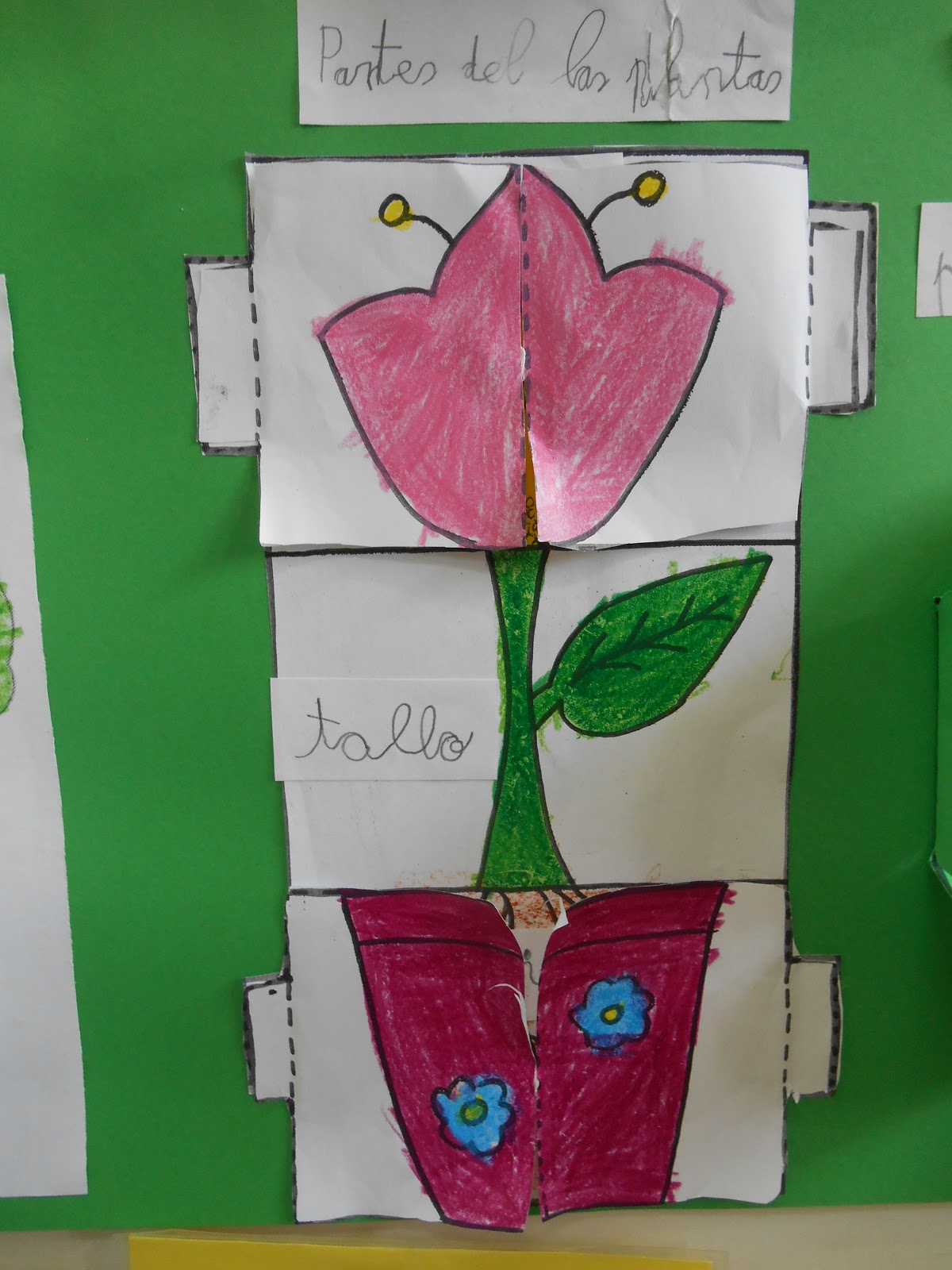 Me acerco a Primaria: Lapbook sobre las plantas