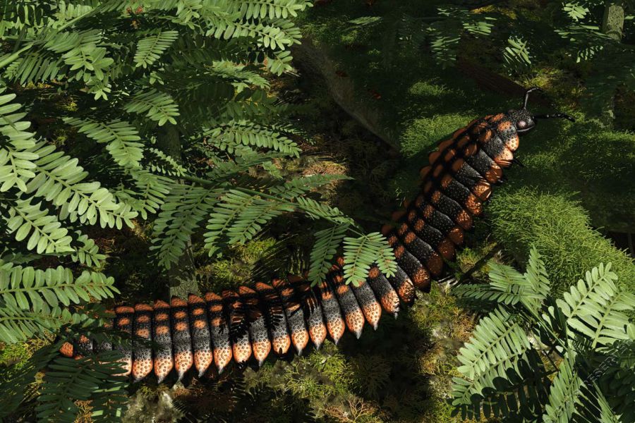 Criaturas del Pasado: Arthropleura
