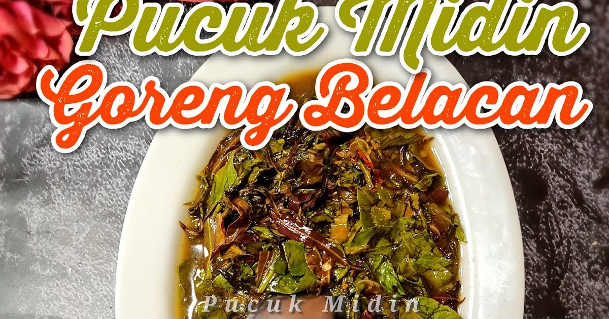 Pucuk Midin Goreng Belacan
