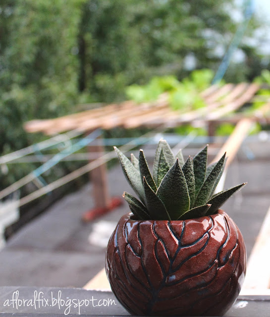 A Floral Fix: Handbuilding Pottery Fall 2012