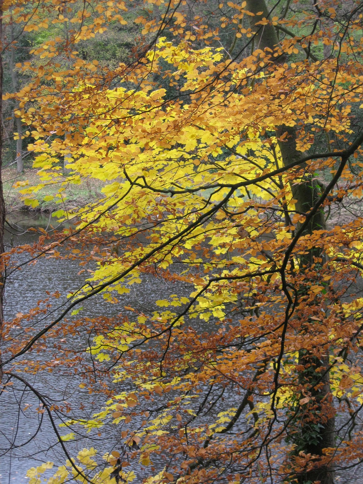 Alex Abroad: "Sorry about that chief."-Maxwell Smart