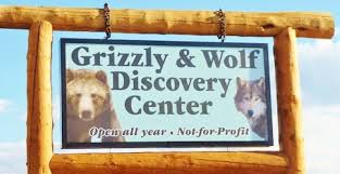 Merikay's Dream : A visit to the Grizzly and Wolf Discovery Center