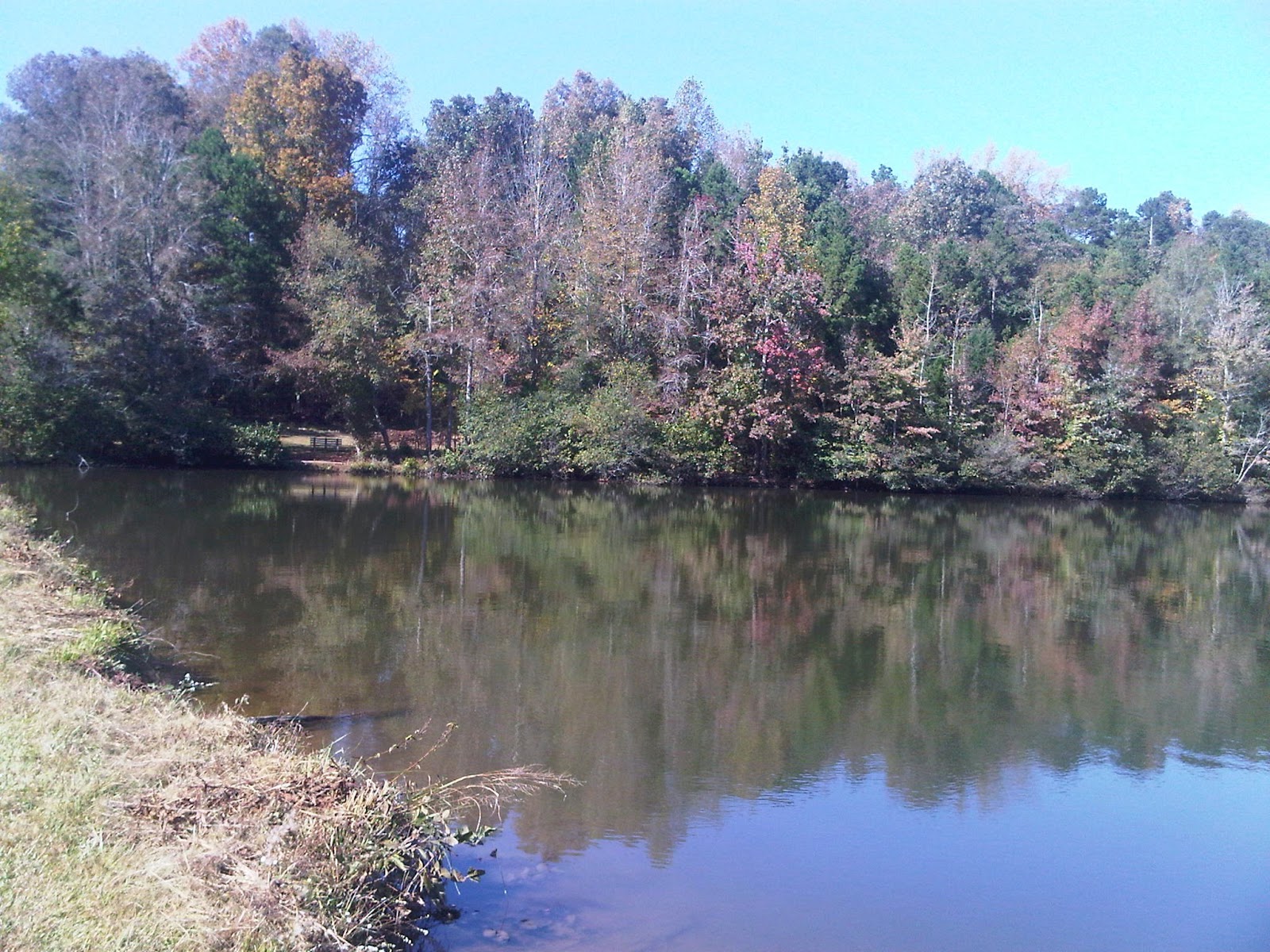 NC BACKCOUNTRY: A DAY HIKE AT ANDREW JACKSON STATE PARK