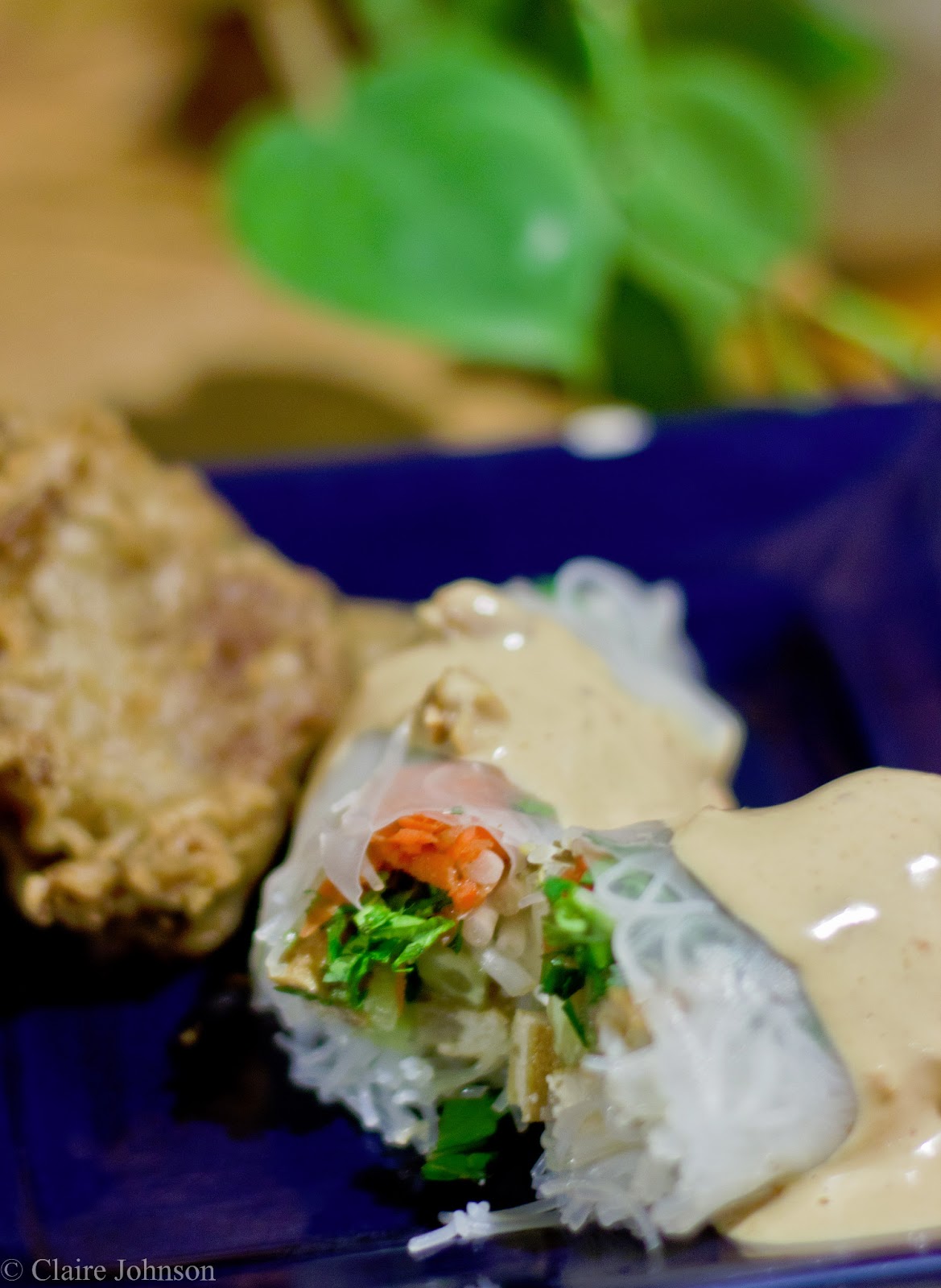 Macrofood Everyday: Full Moon Spring Rolls!