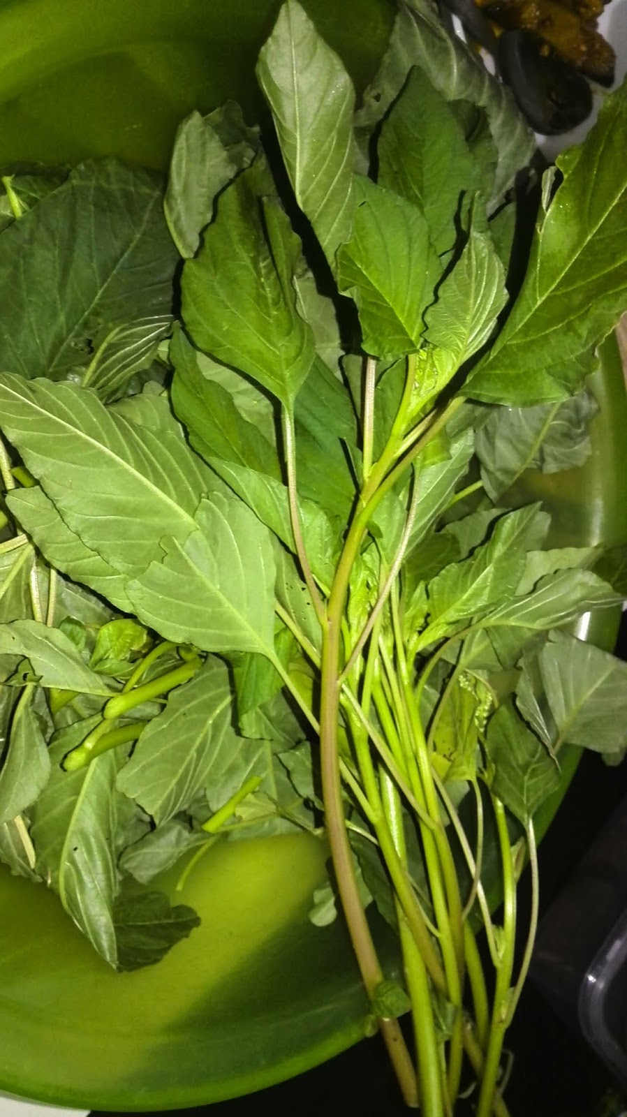 namakucella: BAYAM LIAR MASAK LEMAK PUTIH