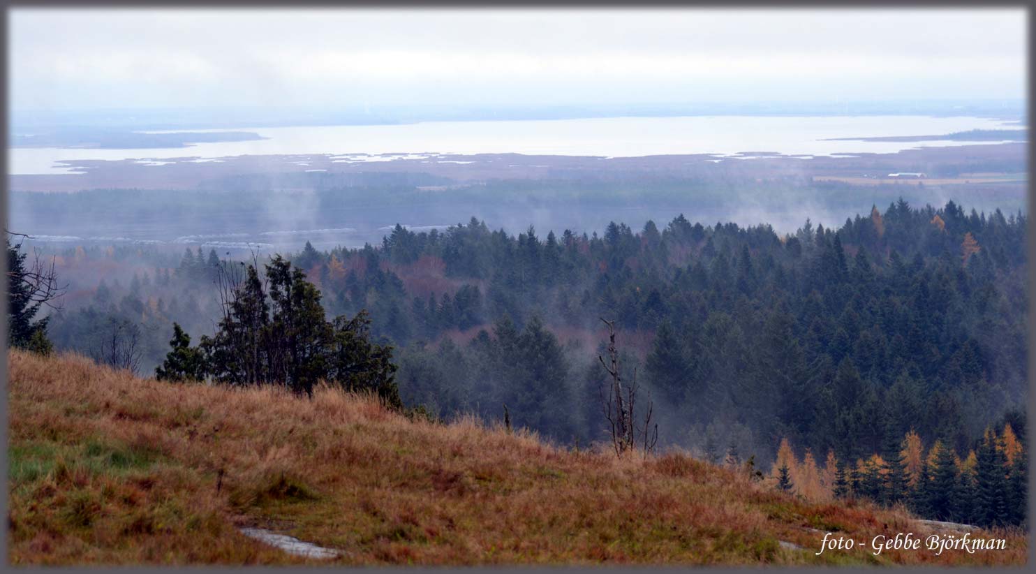 Gebbes Naturliga Dagbok: 12 november - Tallbitar på Omberg