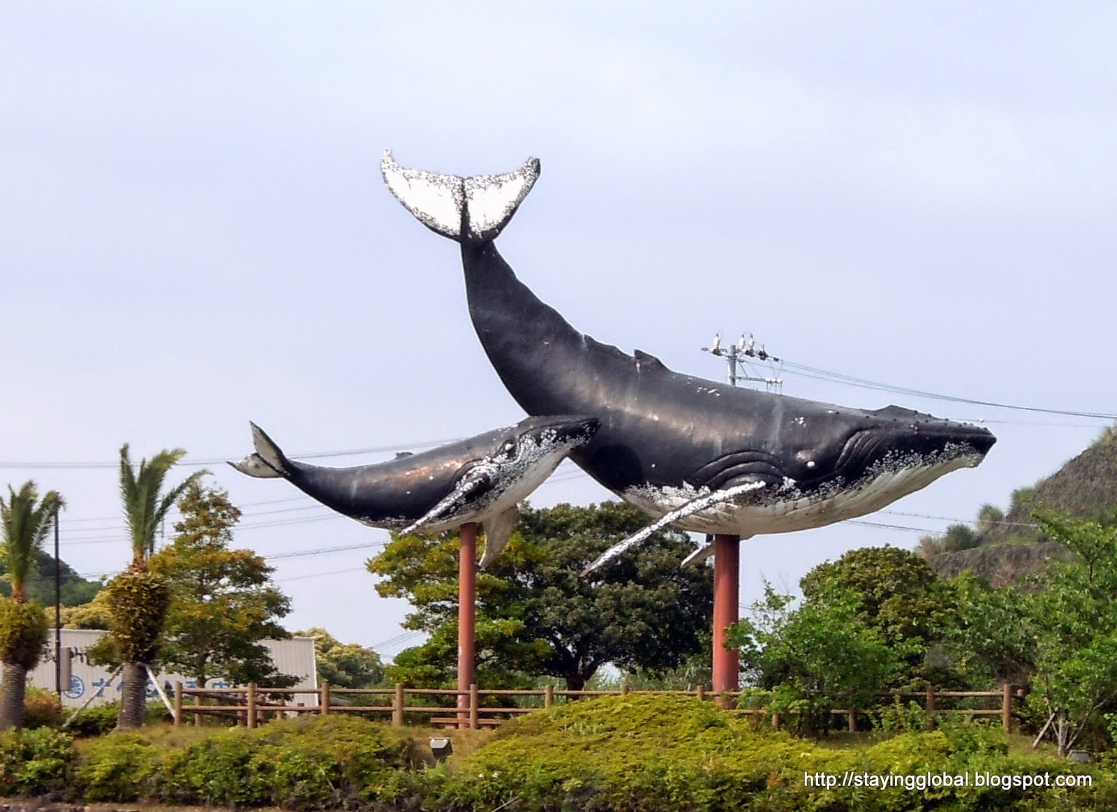A Global Life: Taiji Whale Museum