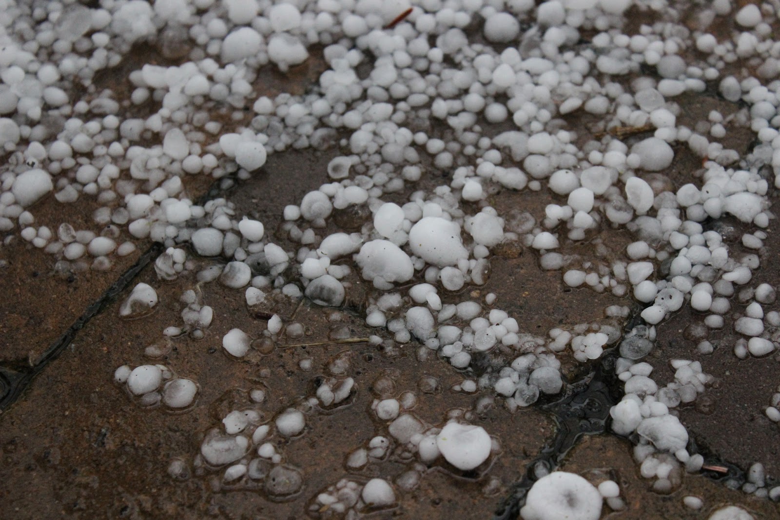 bewitchedbysam: it's raining, it's... hailing?