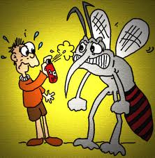 Epidemiologi Menular: Penyakit DBD