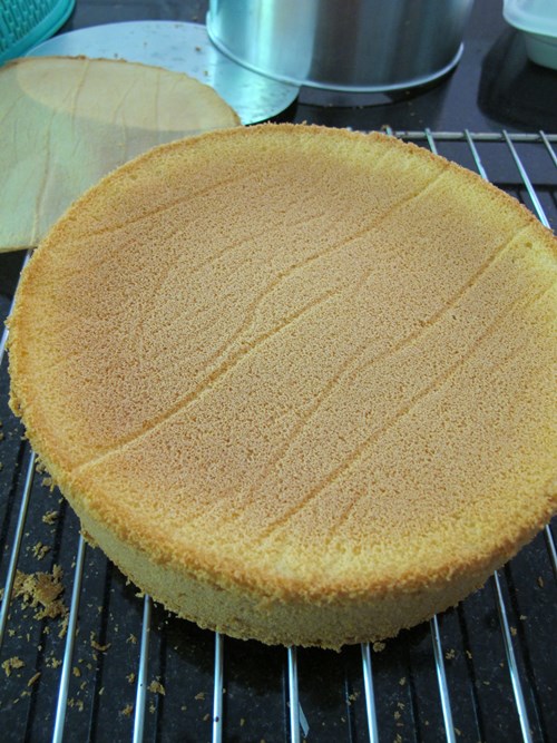 Nasi Lemak Lover: Pure Vanilla Sponge Cake 香草海绵蛋糕