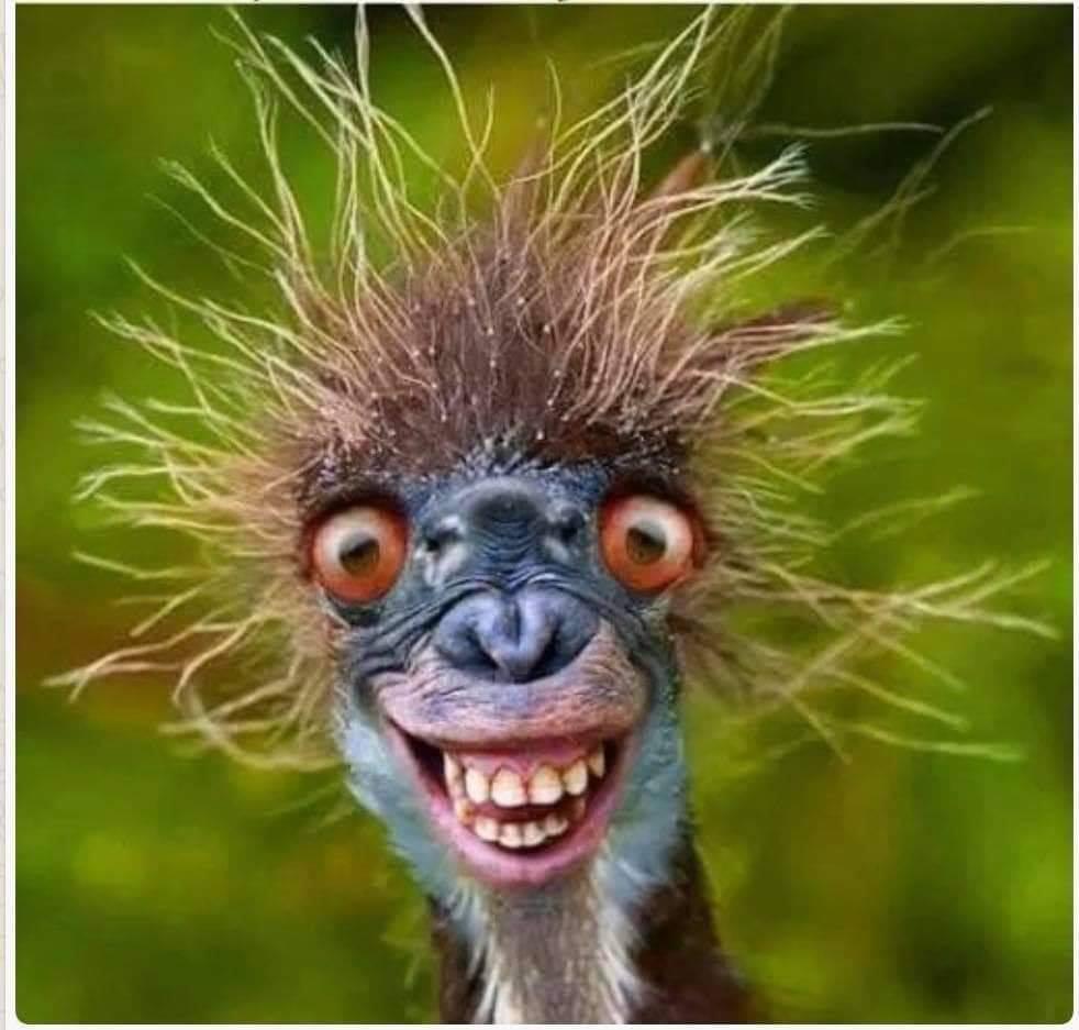 Observations From The Nuthouse: We Survived Another Week!