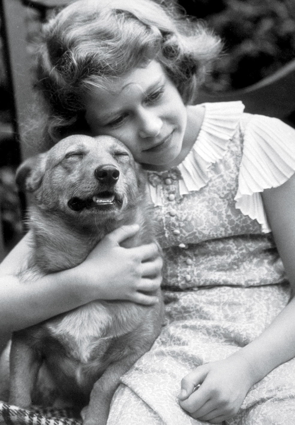 Famous Dogs in History: Queen Elizabeth's Love for Corgis