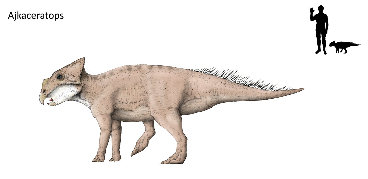 Los animales en la prehistoria: Animales prehistóricos con la letra A