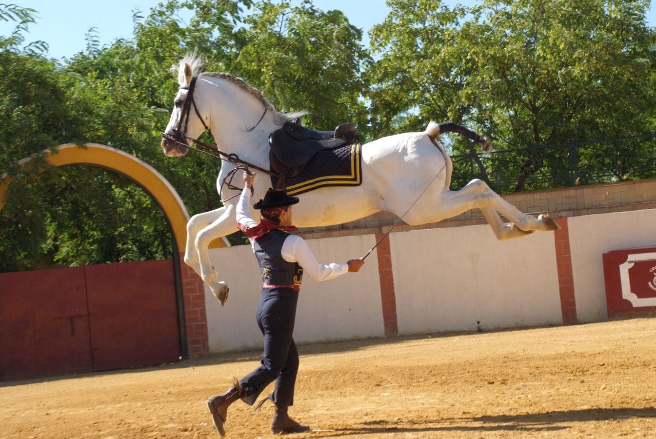 elartedelPREmanolomatarredonda