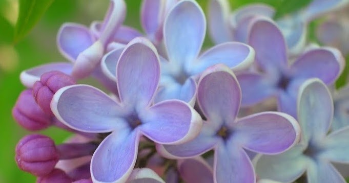 Rindy Mae: Random Thoughts & Tidbits: Part 24