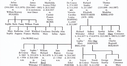 Ireland/DeCourcy/Dewhurst Family Archives: Richard Davies Ireland (and ...