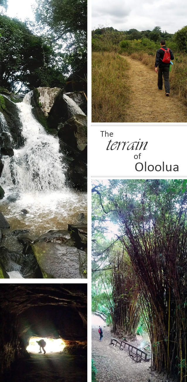 oinge: A Day to Remember on the Oloolua Nature Trail