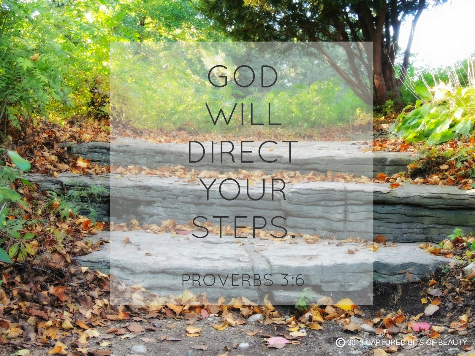 Captured Bits of Beauty: God Will Direct Your Steps