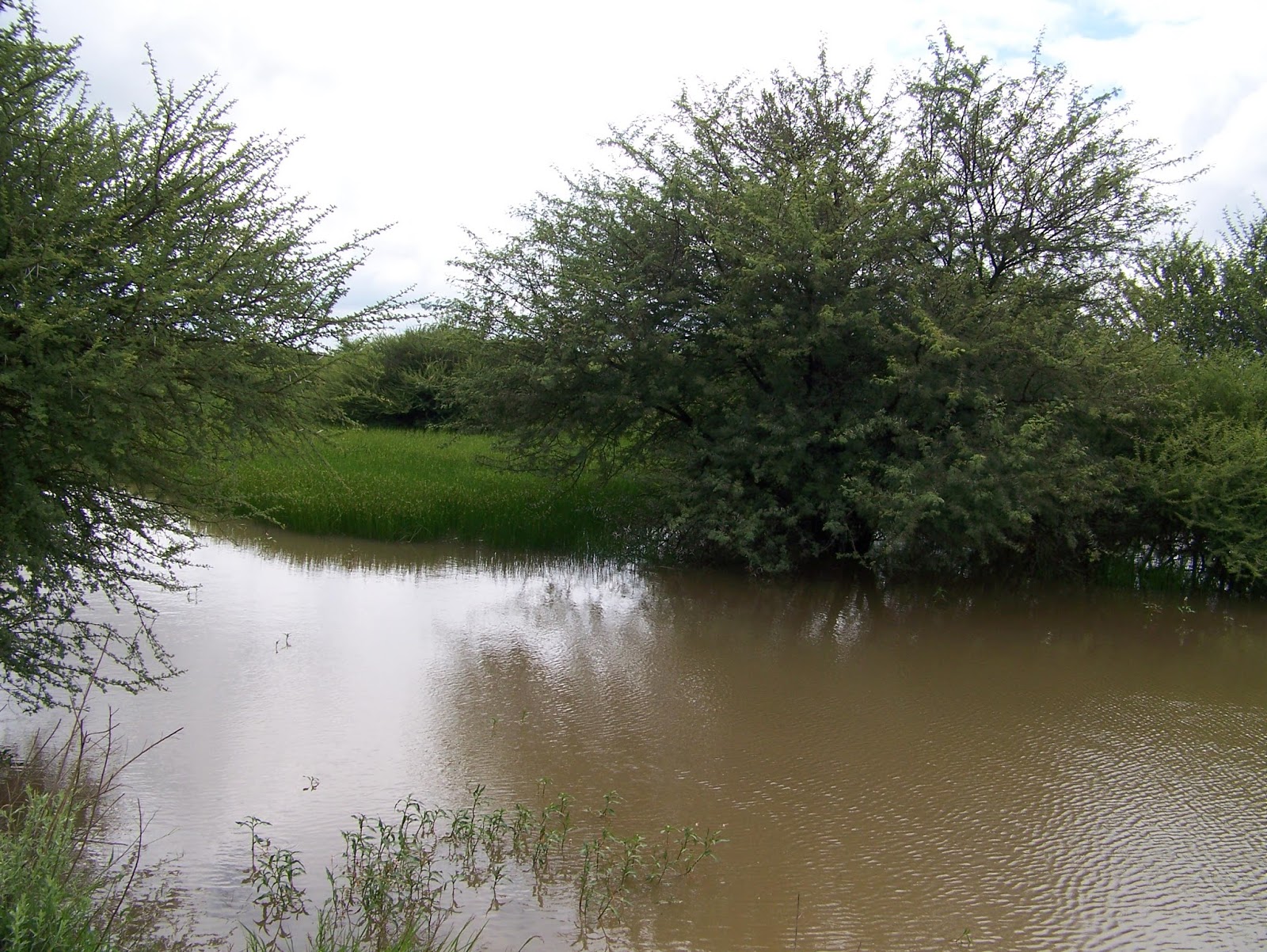 A Pretty Tourist: Meet the people of Pitsane, Botswana
