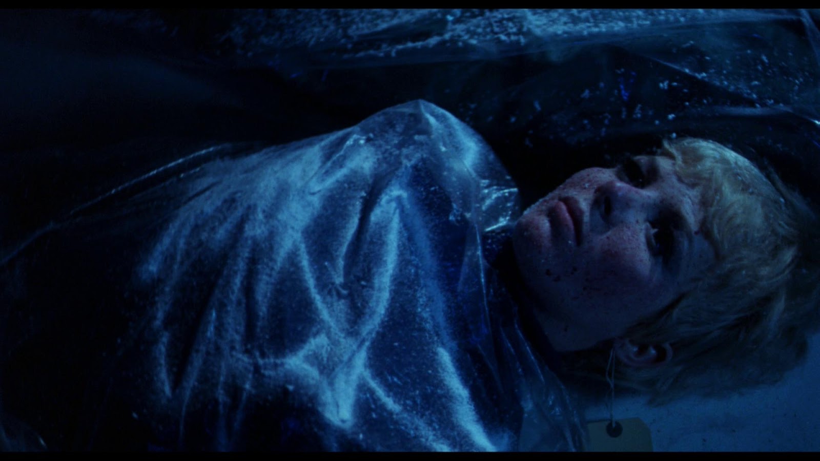 Tim Lucas / Video WatchBlog: They Came From Beyond Taste