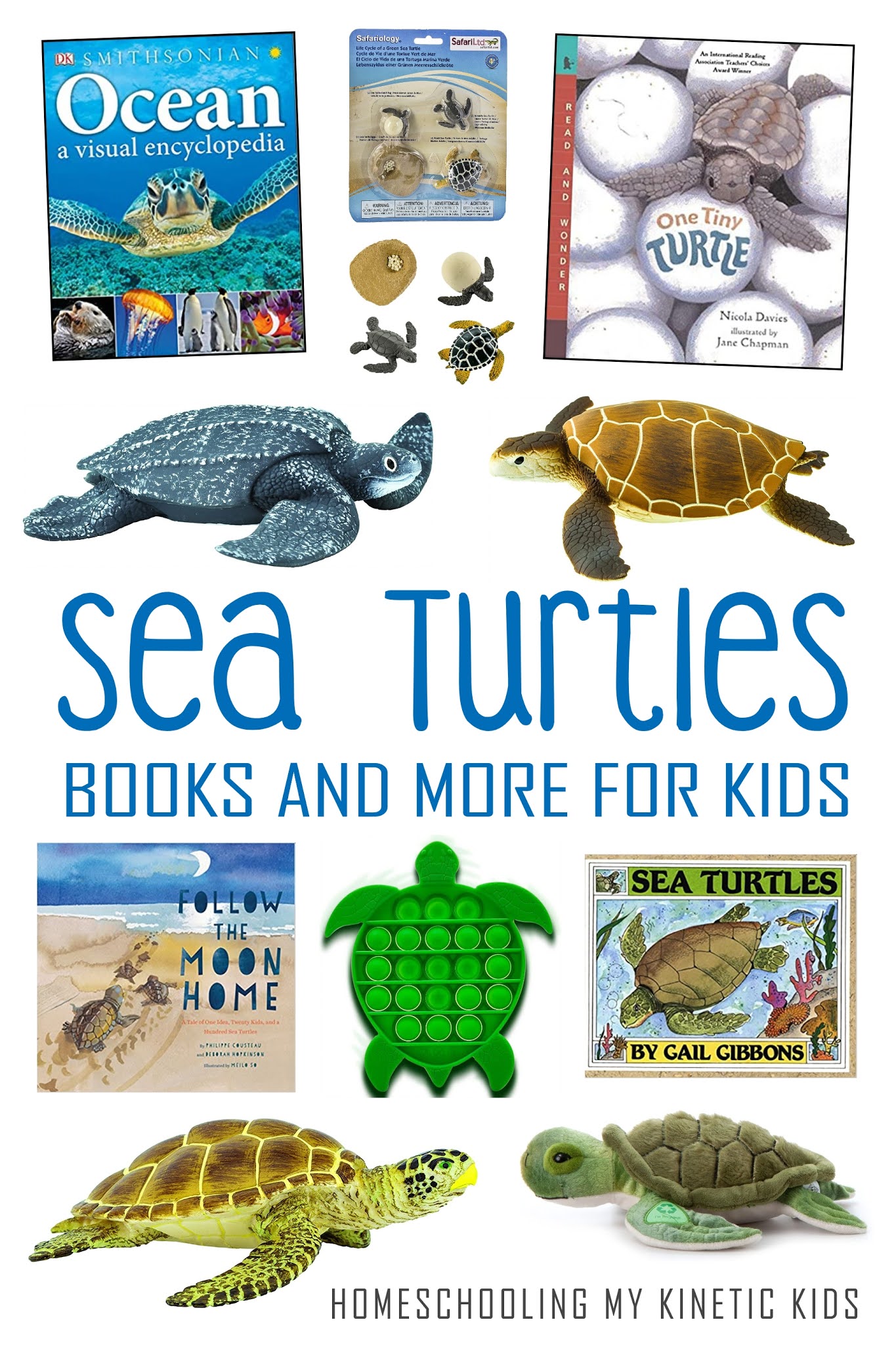 Leatherback Sea Turtle Life Cycle