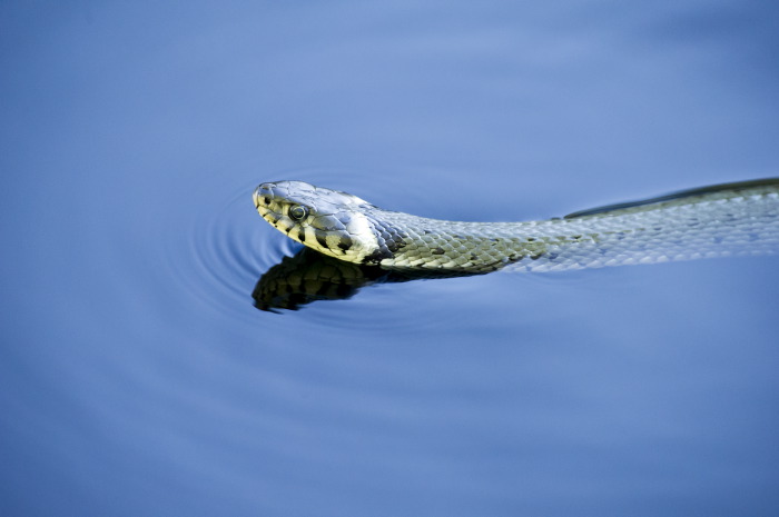 Fotorefleksjoner Magnus Reneflot: Buorm