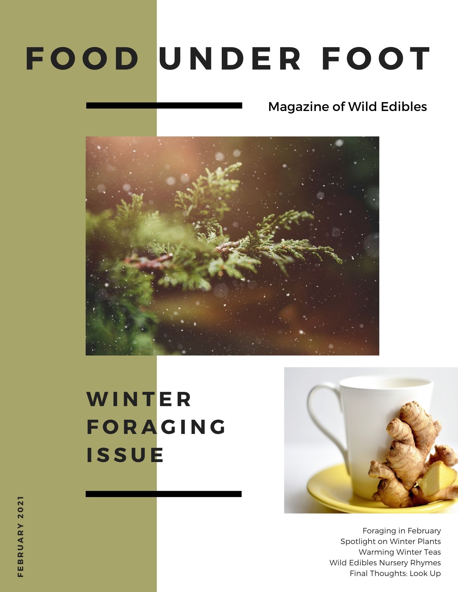 Food Under Foot: Books