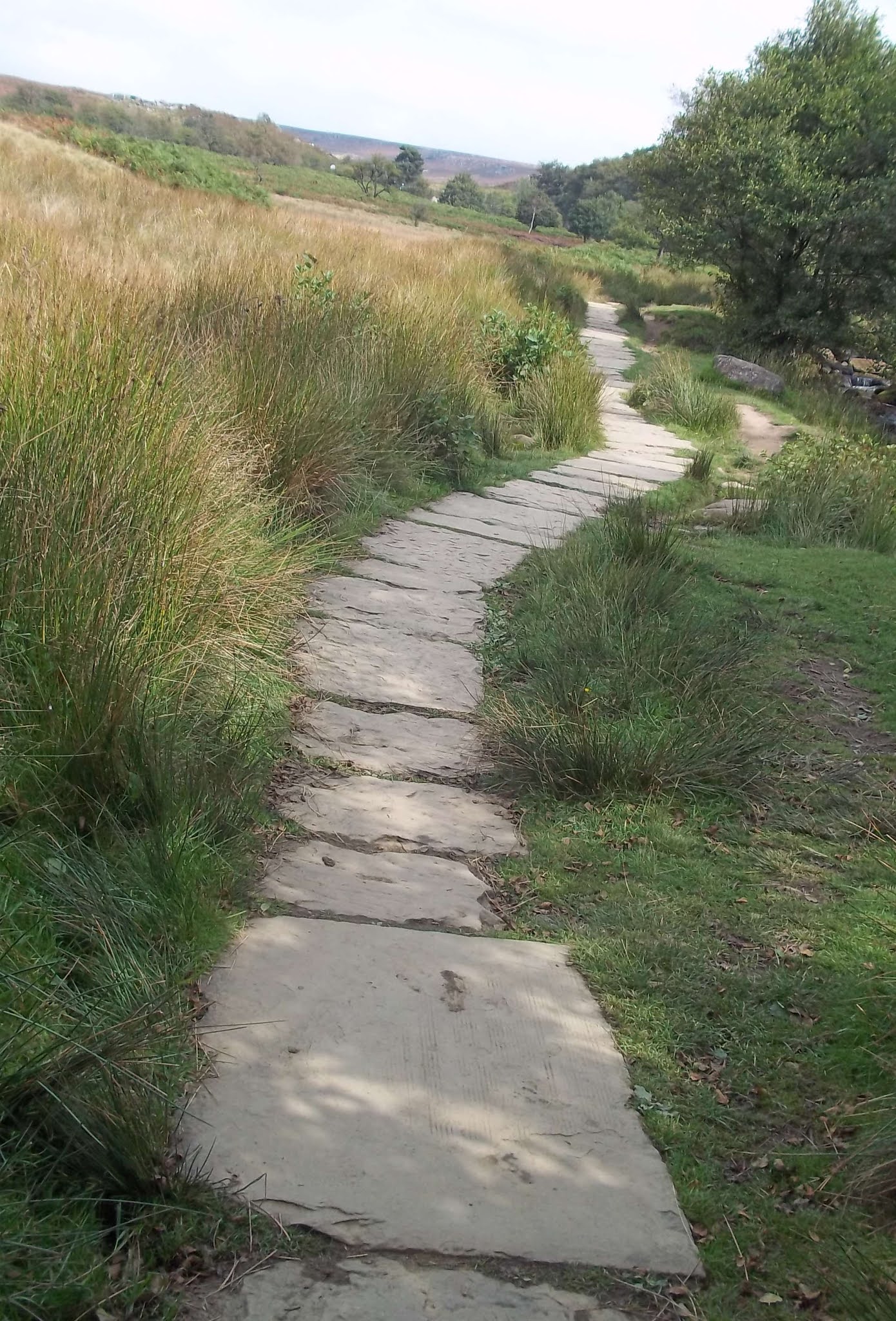Walking The Peak: Longshaw Estate, Curbar Gap, and Beauchief Abbey