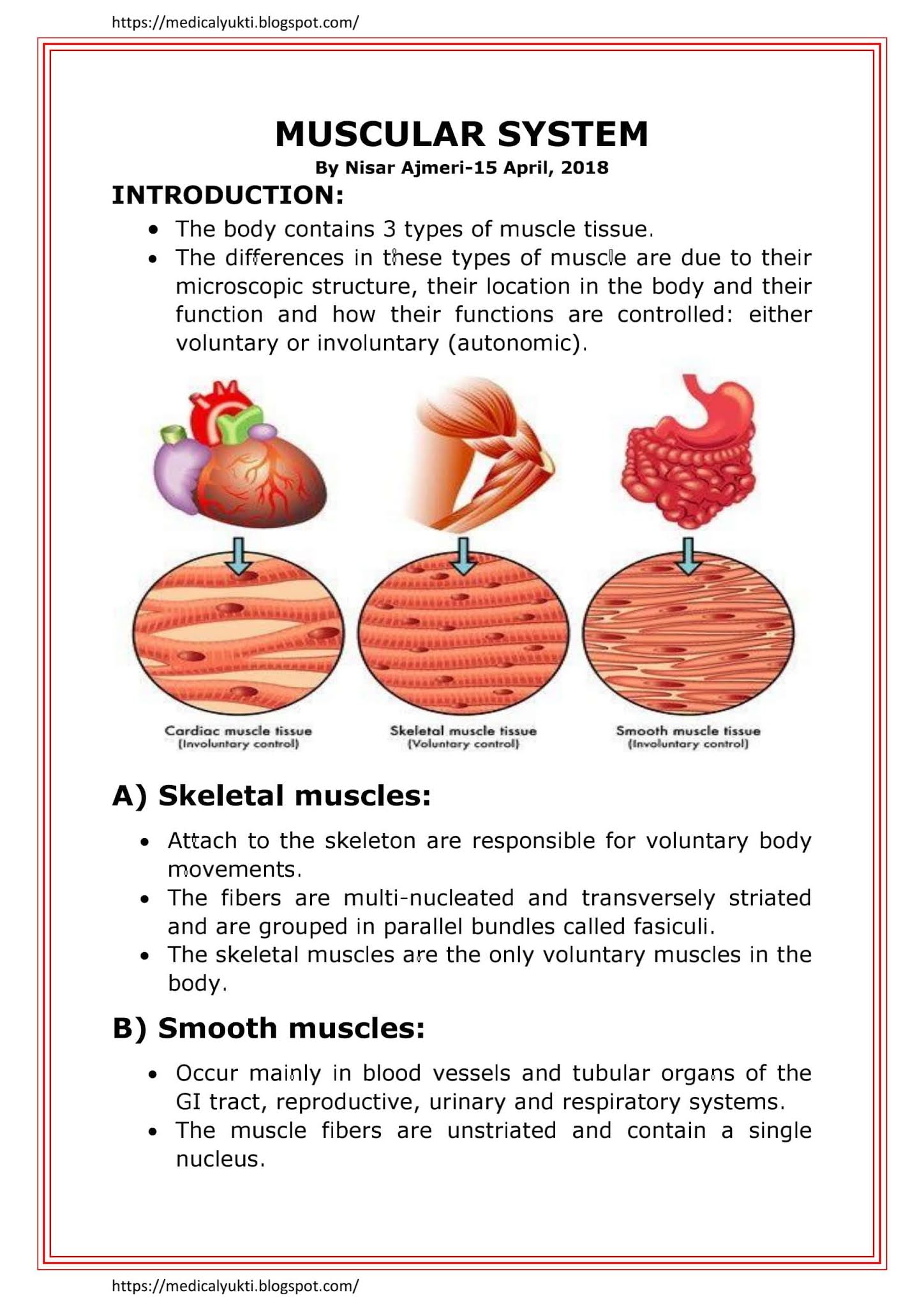 MUSCULAR SYSTEM - Medical Yukti