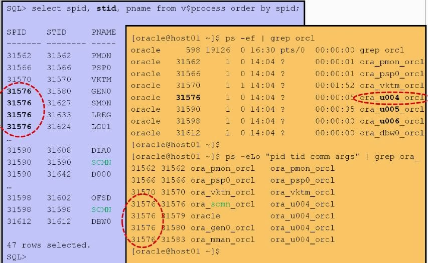 Oracle: Oracle Database 12c - Performance Enhancement - Multiprocess ... Oracle: Oracle Database 12c - Performance Enhancement - Multiprocess ...