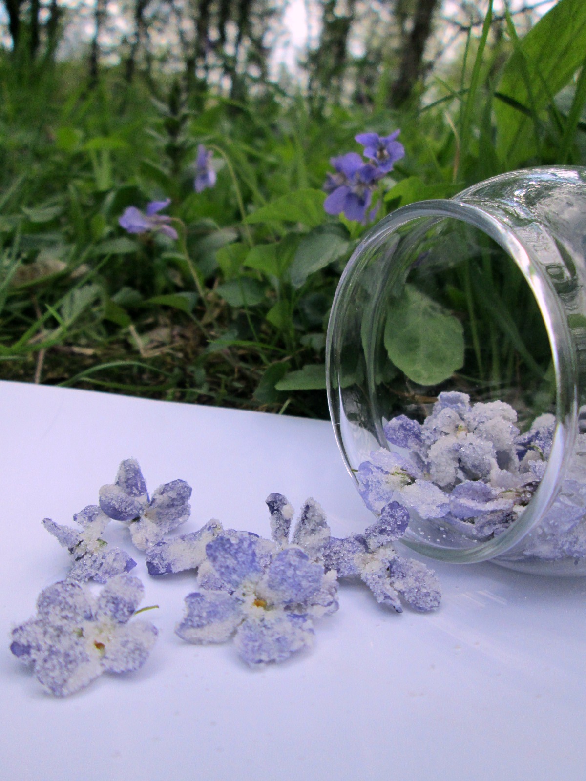 Comori Delicioase: Violete zaharisite si sirop de violete