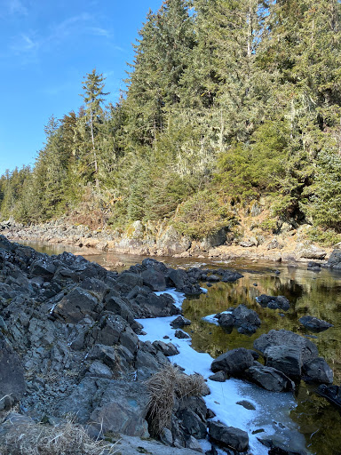 teri's studio journal: Salt Chuck plein air painting