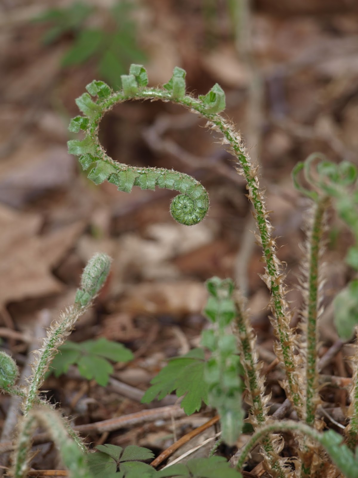 A Life Inspired by Nature: Favorite photos from 2014