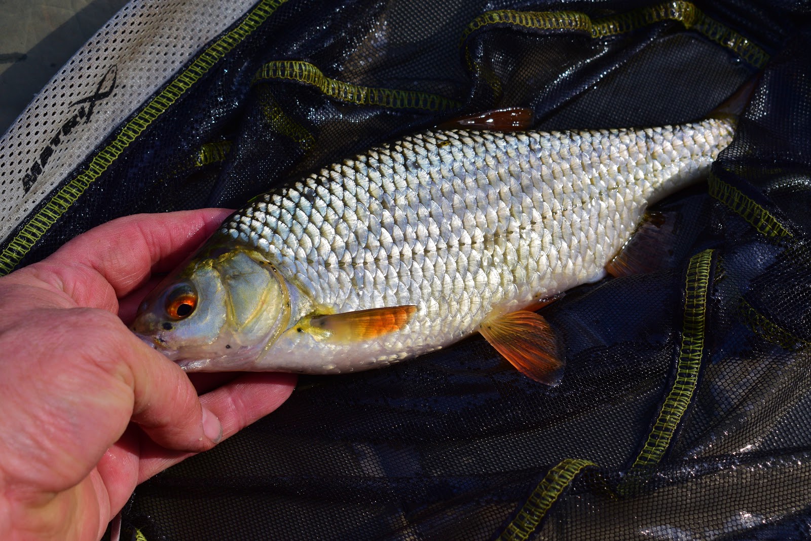 Bureboyblog: The source of the River Nile.