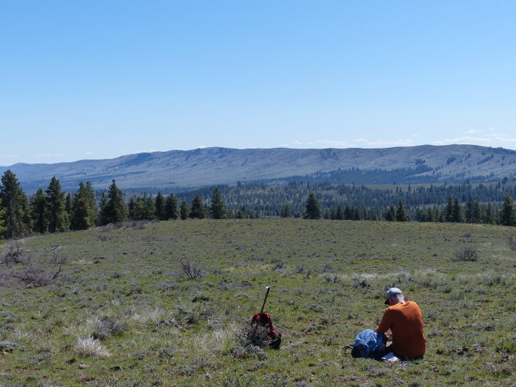Fagin's Weather World - Hike Washington: KUOW Hike of the Week ...