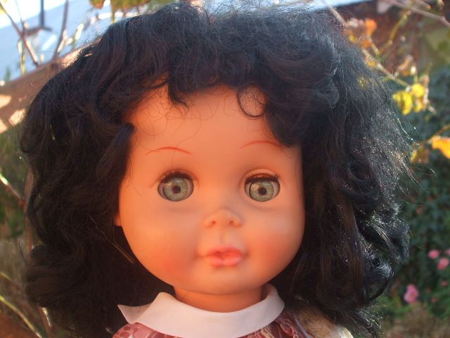 Papusi Aradeanca: decembrie 2010