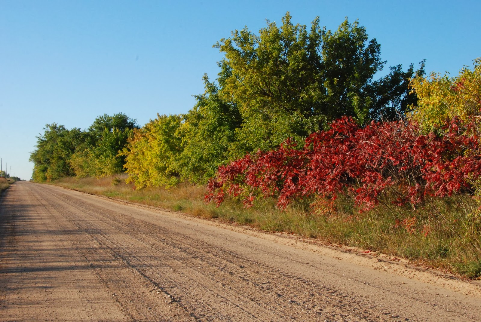 Gaia Garden: Colorful Kansas