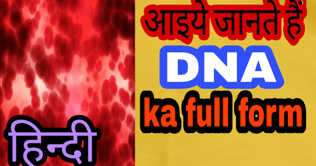 DNA Full Form In Hindi DNA Ki Full Form dna-full-form-in-hindi-dna-ki-full-form