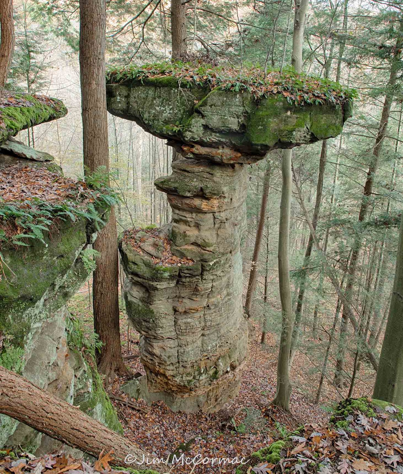 Ohio Birds and Biodiversity: Balanced Rock